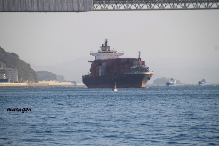 ACX DIAMOND（コンテナ船） | 撮ったどー（鉄・船・鳥・飛）