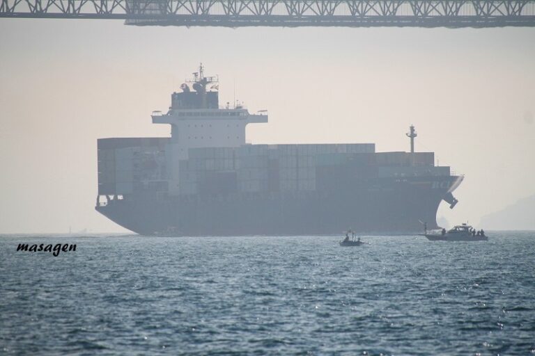 WANA BHUM（コンテナ船） | 撮ったどー（鉄・船・鳥・飛）