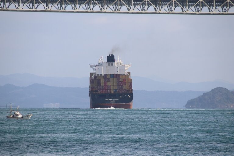 MSC SANTA MARIA（コンテナ船） | 撮ったどー（鉄・船・鳥・飛）